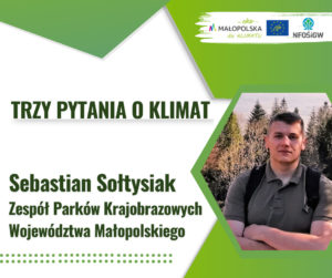 Trzy pytania o klimat – dlaczego drzewa są najlepszym sojusznikiem ...
